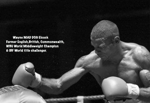 Mad Dogs Boxing dedicated Boxing Store