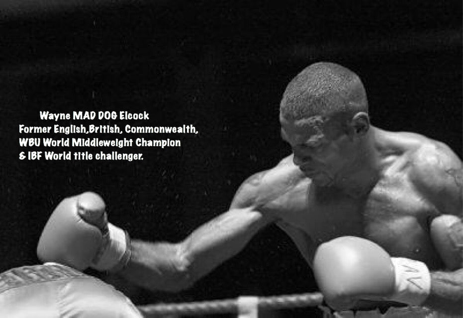 Mad Dogs Boxing dedicated Boxing Store